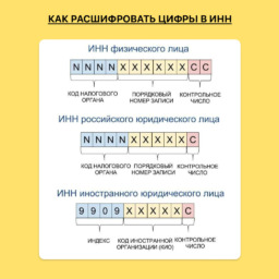 Сколько цифр в ИНН и как их расшифровать